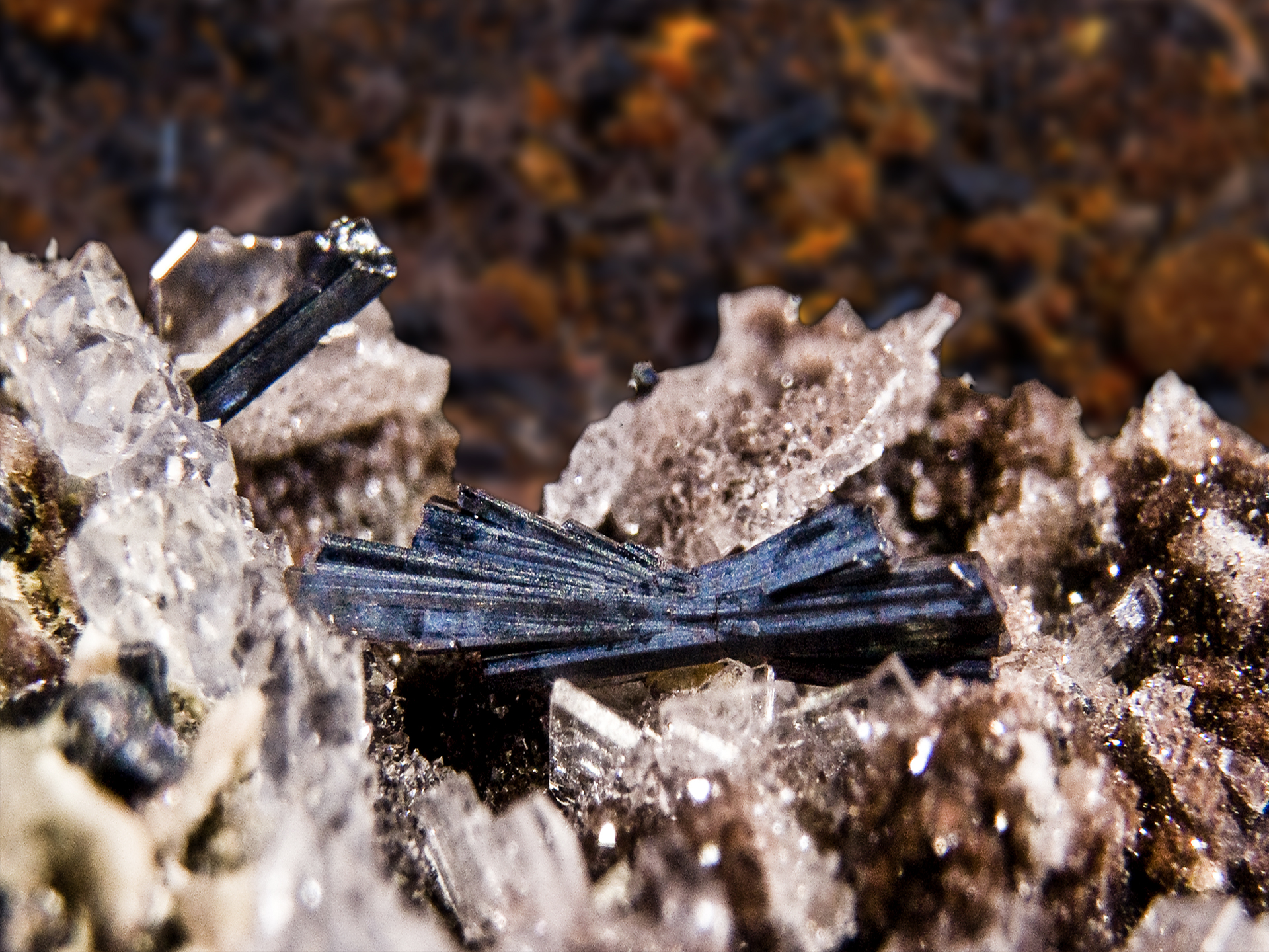 081 Thallium Tl